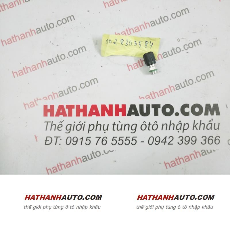 Van cảm biến áp suất gas xe Mercedes W220, W221, W463 - 0028305584