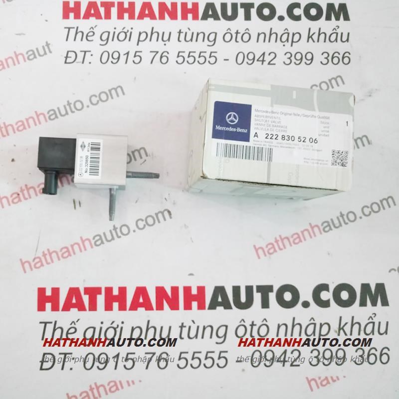 Van tiết lưu sau xe Maybach S500, Maybach S450 - 2228305206