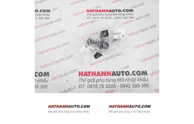 Lò xo nắp ca pô xe Mercedes C Class W205 - 2058800027 - 2058800127